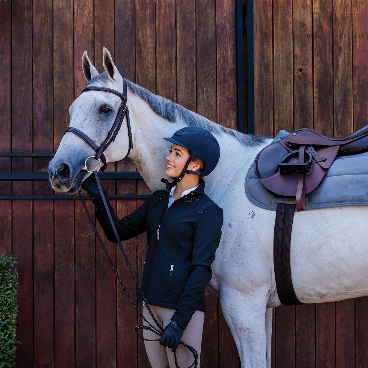 Arena Jump Saddles – Arena Saddles
